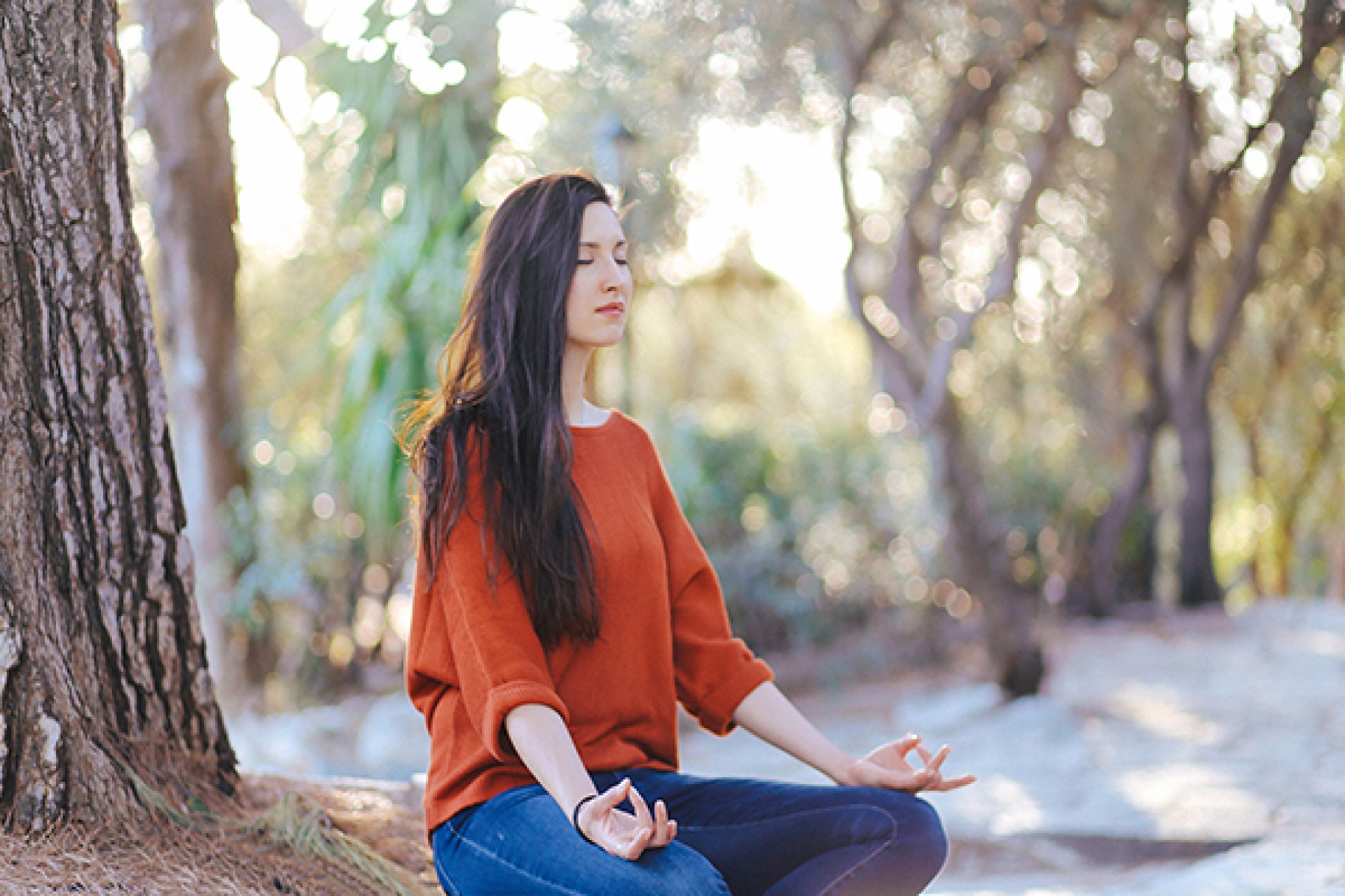 Ajax - Ancient Greek Meditation and vegan brunch